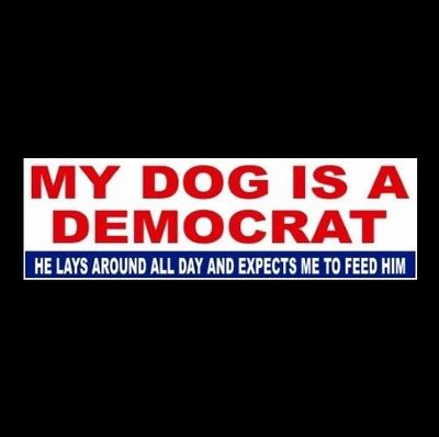 Funny "MY DOG IS A DEMOCRAT" Anti liberal welfare BUMPER STICKER decal ...
