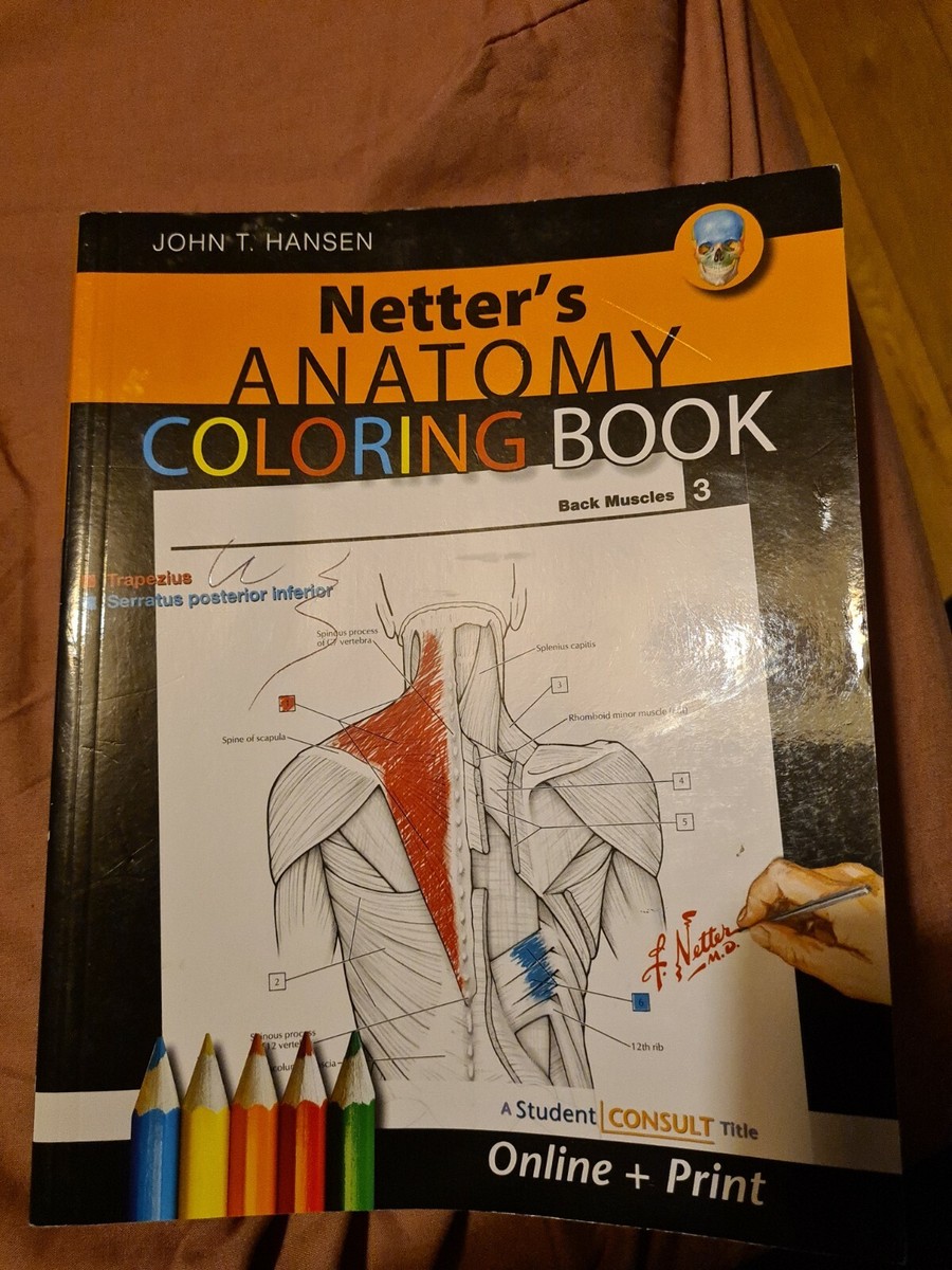 Netter39s Anatomy Coloring Book With Student Consult Netter's Anatomy