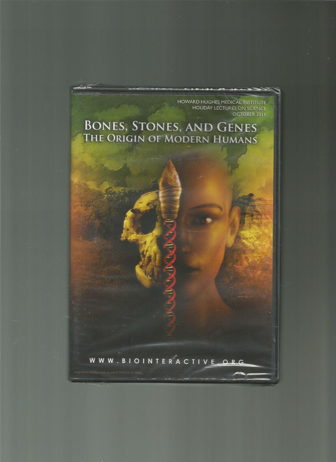 Evolution: Bones, Stones And Genes: The Origin Of Modern Humans [NEW ...