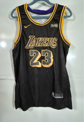 LeBron James #23 NBA Snake Skin 2020 Lakers Jersey Size XL 50, EUC | eBay