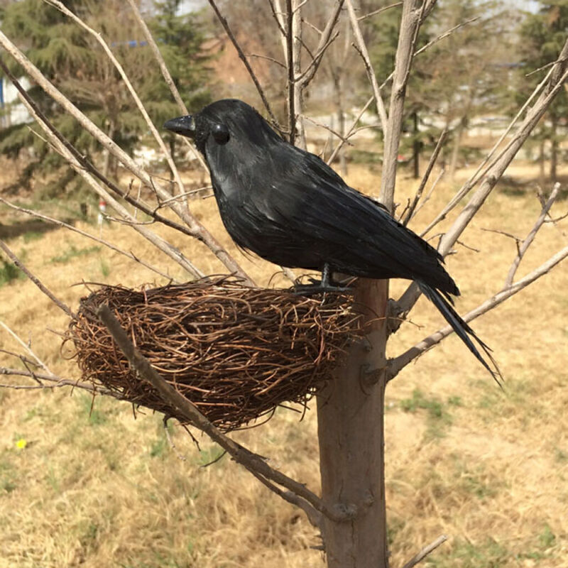 3x Artificial Bird Scarer Dummy Black Raven Crow for Halloween Gart ...