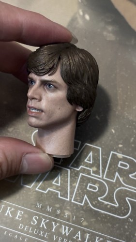 1/6 Luke Skywalker Head Sculpt Figure HT Hot Toys Return Of The Jedi ...