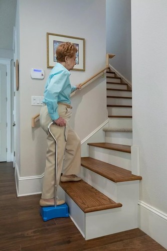 EZ-Step Stair Climbing Assist Cane – Stair Lift for Seniors Mobile ...