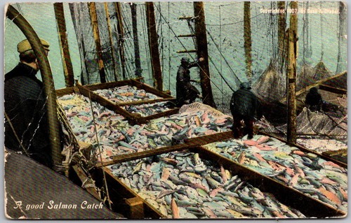 Postcard: A Good Salmon Catch in Tacoma, Washington A55 | eBay