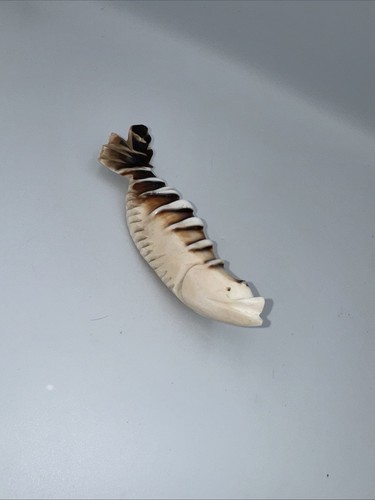 Vintage Carved Conch Shell Fish Curiosity 1960’s 6" | eBay