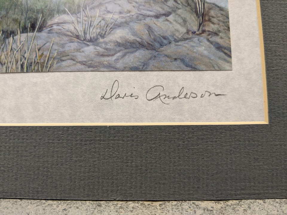 Signed Doris Anderson PEREGRINE FALCON Lithograph Print - MINT ...