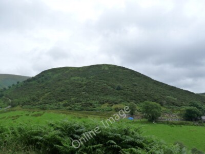 Photo 6x4 Ffridd Maesygamfa Aberangell c2010 | eBay UK