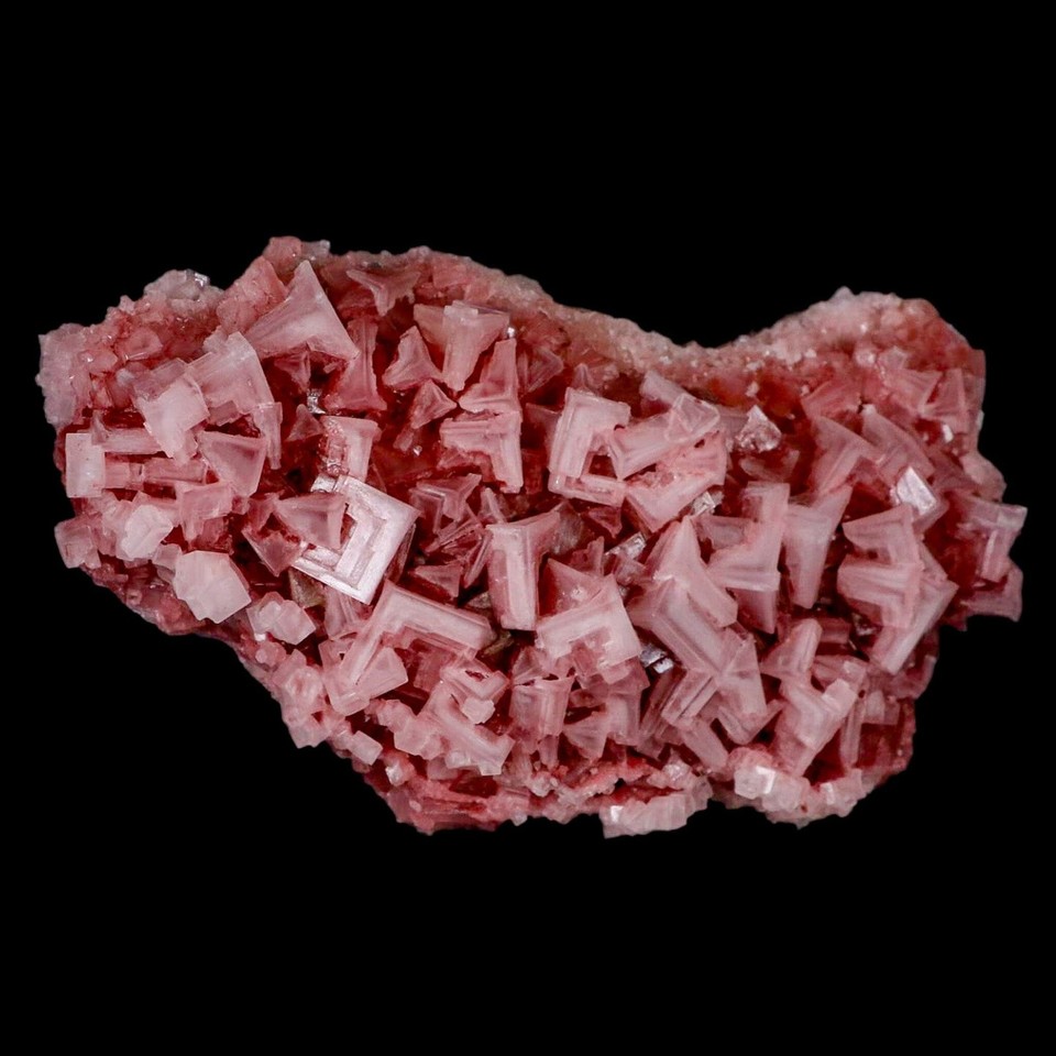 5.9" Quality Deep Pink Halite Salt Crystals Cluster Mineral Trona, CA ...