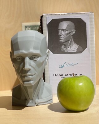 Head Structure V2.0, Planar Head, Planar Bust, Head Drawing, Painting ...