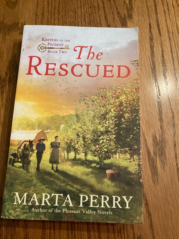 amish books by Marta Perry and Wanda Brunstetter | eBay