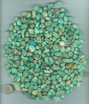447 Grams of Stabilized American Turquoise Rough Nevada Turquoise Fox ...