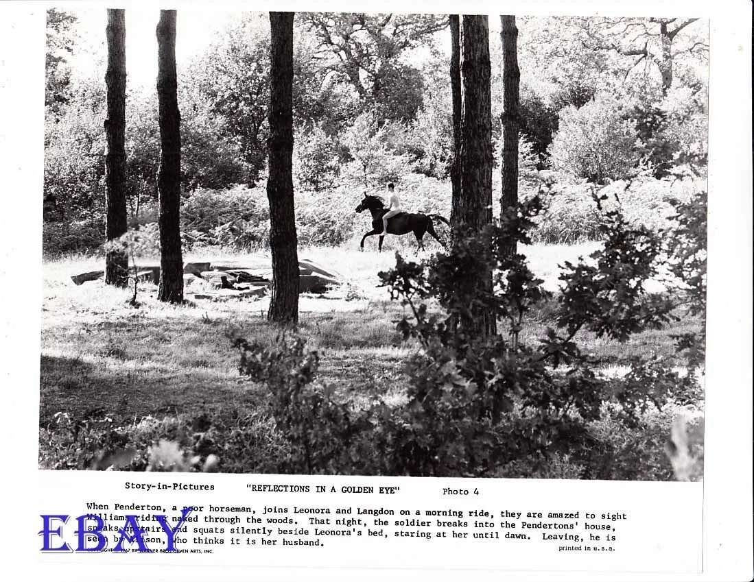 Robert Forster Reflections In A Golden Eye