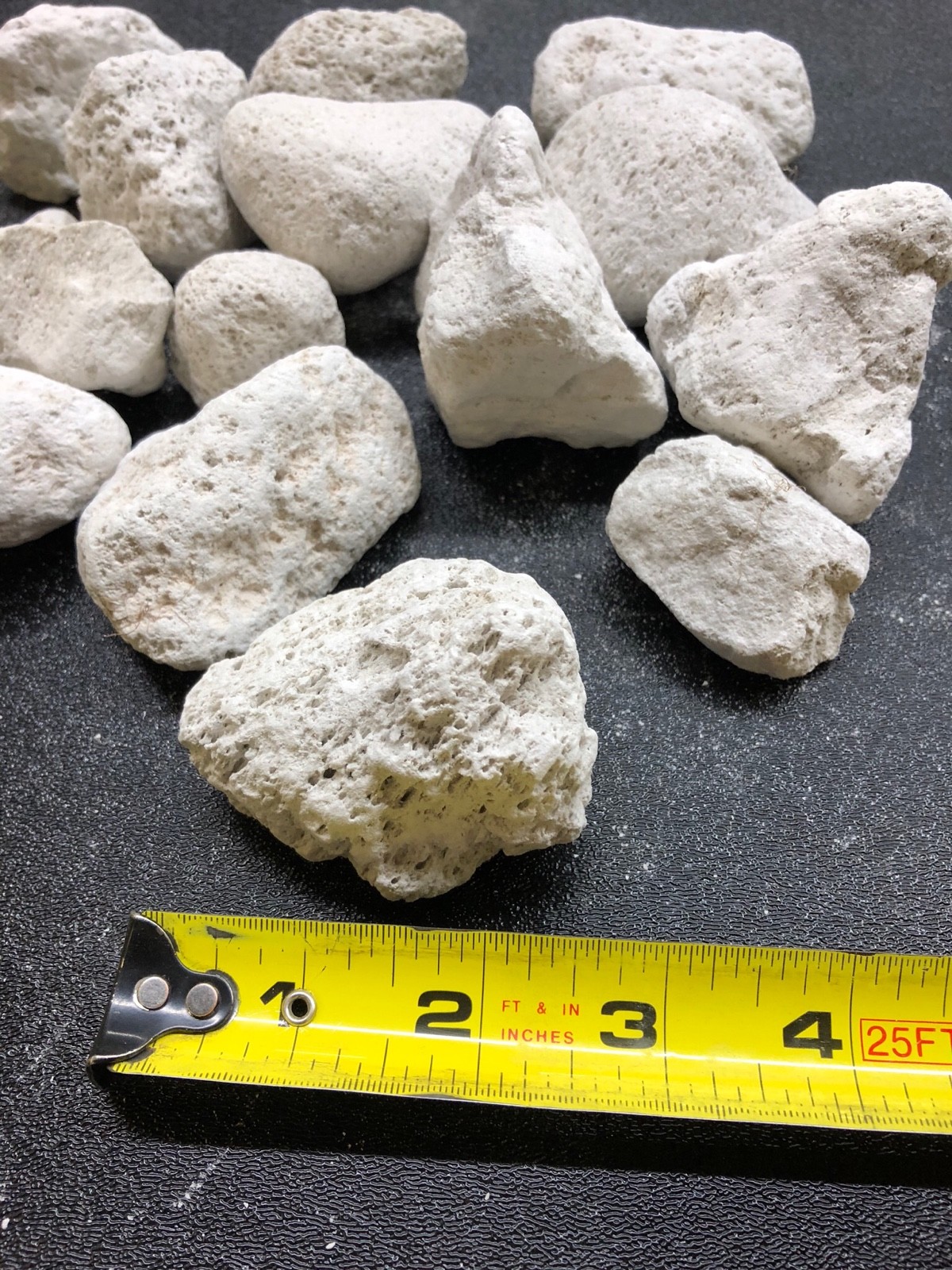 1 gal Premium Quality Pumice Filter Media for Koi Pond, Bakki Shower ...