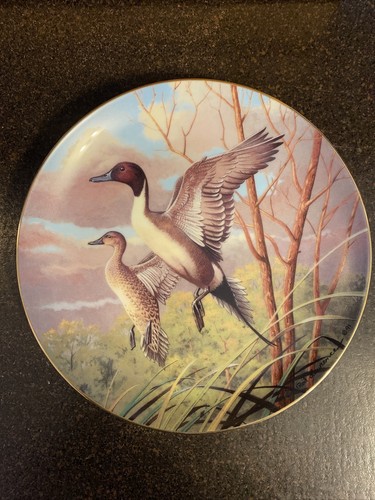 PERFECT PINTAILS Plate North American Ducks Rod Lawrence Hamilton ...
