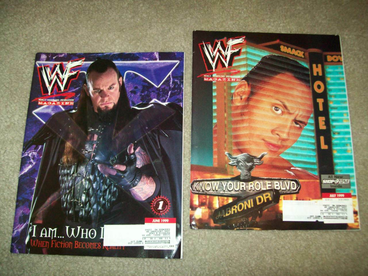 2 WWF MAGAZINES 1999 PRO Wrestling STONE COLD Bret Hart Undertaker ROCK ...