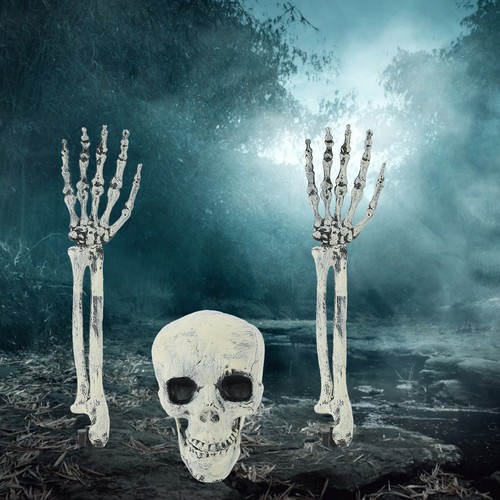 Halloween Skeleton Head Bones Horror Scary Decorations Skull Hand ...