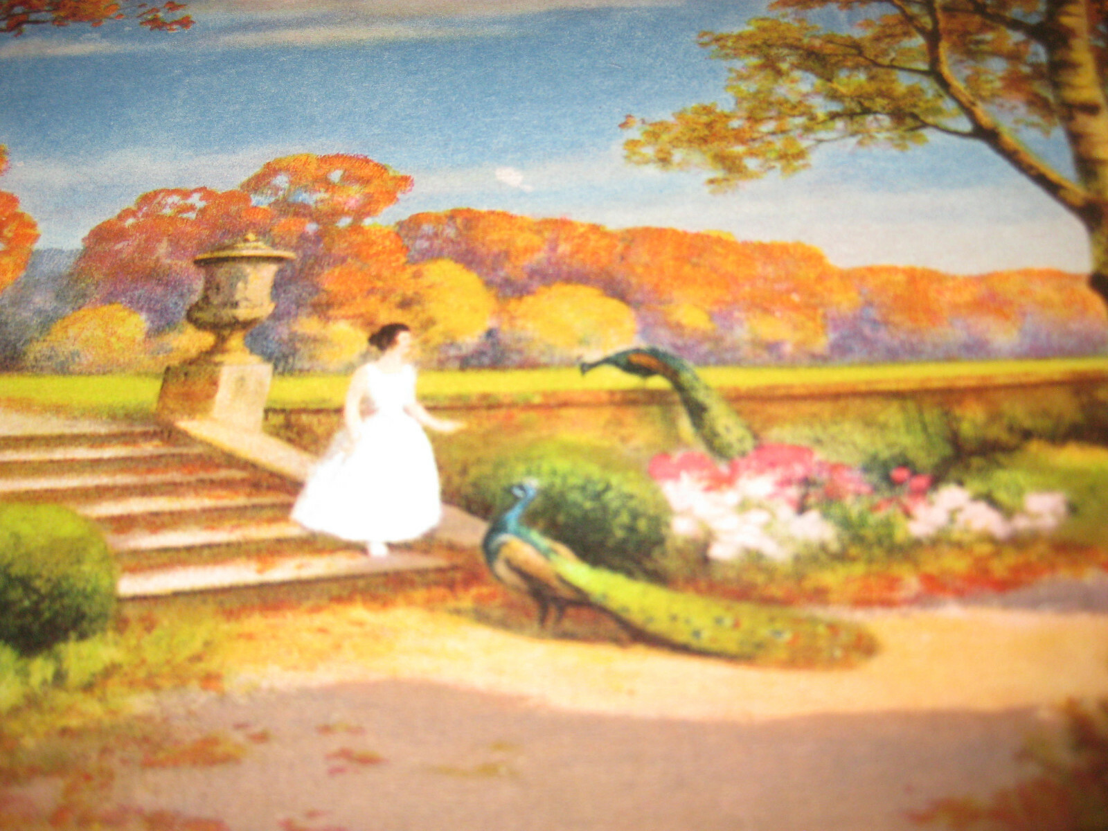 HERMANN RUDISUHLI PRINT GIRL W PHEASANTS IN GARDEN 1920S PARRISH LIKE ...