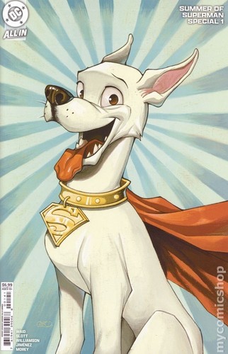 Summer of Superman Special 1E NM 2025 Stock Image | eBay