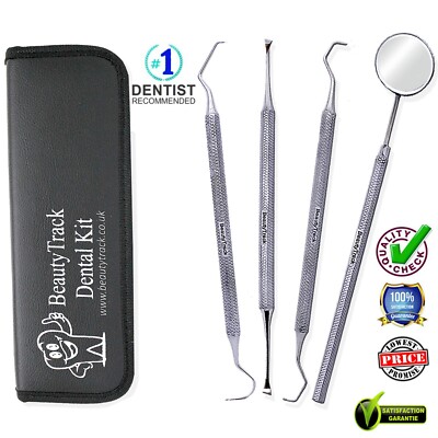PRO DENTAL SET DENTIST SCALER INSTRUMENTS PICK TOOL KIT TOOTH CLEANING ...