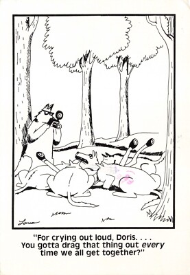 Postcard The Far Side Wolves Photograph Funny Novelty Humor Laugh Gary ...