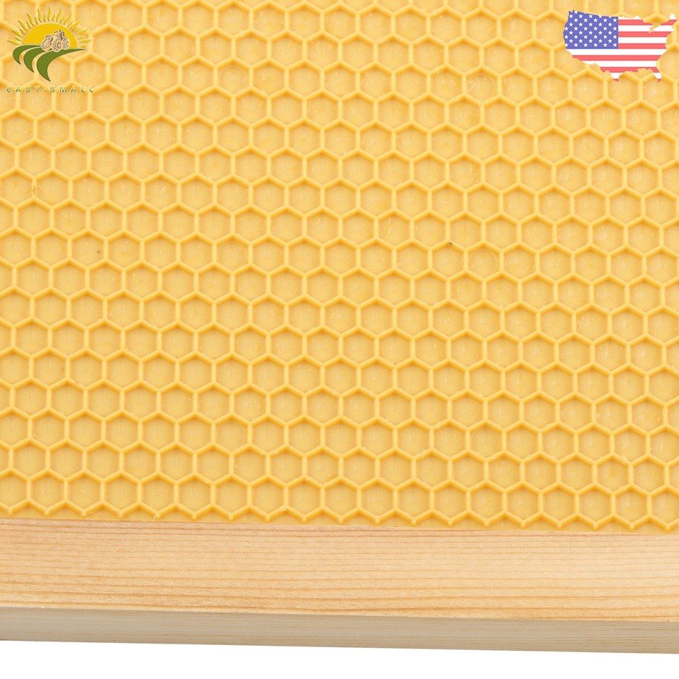 4 Layer Beehive Box 8 Frame Beeswax Coated Bee Hive With Frames For Bee ...