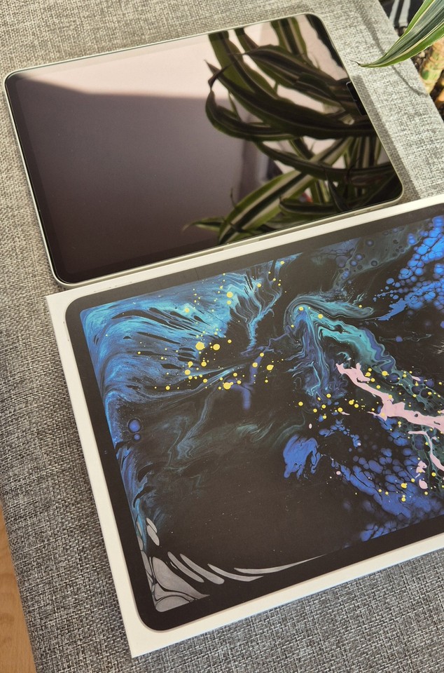 Apple iPad Pro 1. Gen 64GB, Wi-Fi, 11 Zoll - Space Grau 190198870223| eBay