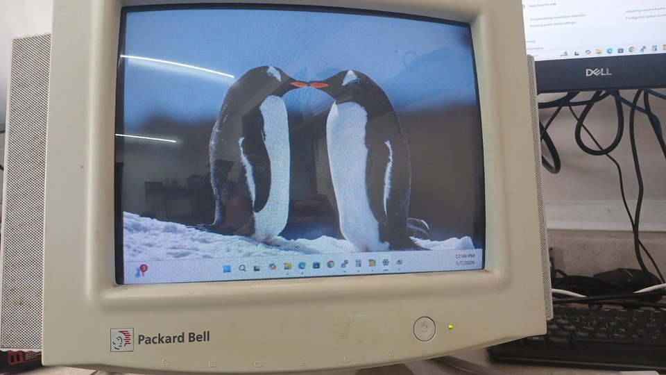 Vintage Packard Bell 1401S 14" VGA CRT Monitor *SCREEN WORKING* NO ...