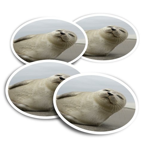 4x Round Stickers 10 cm - Young Grey Seal Pup Animal #3016 ...