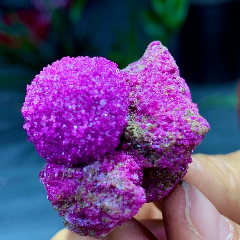 33G Indian dandelion zeolite Quartz Crystal Cluster Mineral Specimen ...