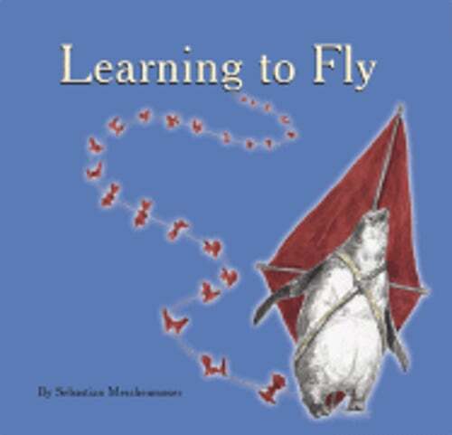 Learning to Fly by Sebastian Meschenmoser: Used 9781929132935| eBay