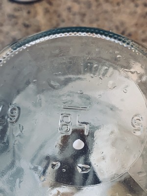 Smallest Sea Shell | eBay