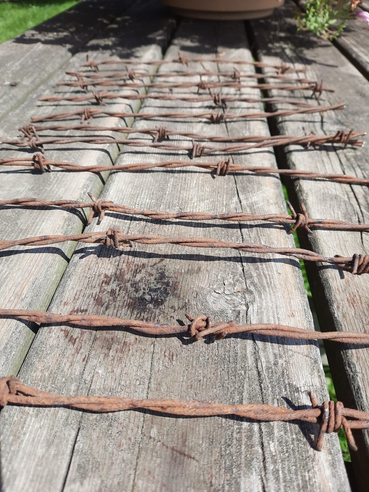 Vintage Barbed Wire Rustic 12 Pieces For Hobbies Craft Or Art ...