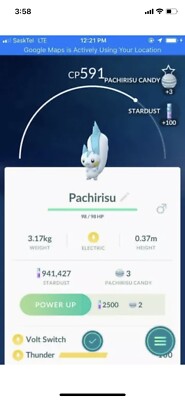 Pachirisu (Canadian Regional) ☑️ Pokemon Go ☑️ | eBay