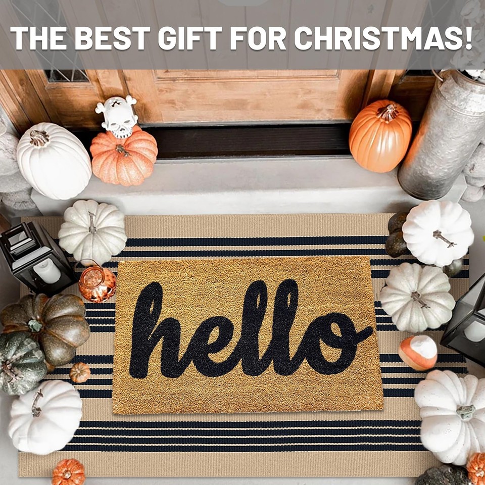 IOHOUZE Black/Tan Striped 3x5 ft Outdoor/Indoor Washable Area Rug Front ...