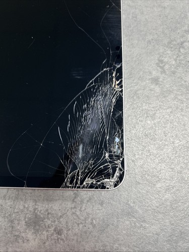 Apple iPad Pro 11 3rd Gen Wifi MHWR3 128GB A2377 Space Grey - Faulty | eBay