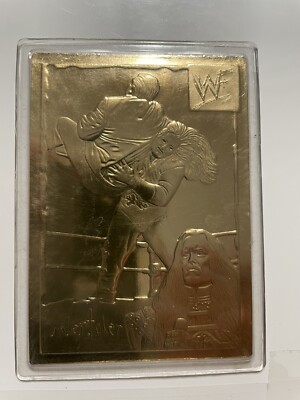 The Undertaker WWE Wrestling Danbury Mint 22KT Gold Card Cards #12 | eBay