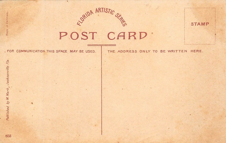 IN A TIGHT PLACE~CROCODILE BITING MAN'S REAR END~FLORIDA ARTISTIC ...