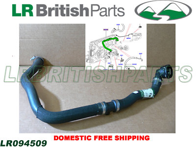 GENUINE LAND ROVER UPPER TOP RADIATOR HOSE 2.0L 16V PETROL NEW LR094509 ...