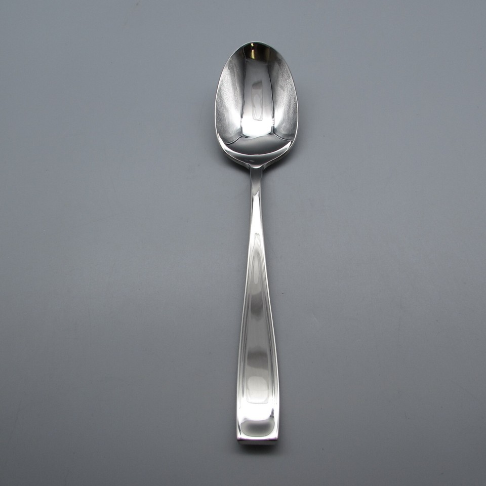 Oneida 18/10 Stainless Steel MODA (GLOSSY) Flatware - Silverware NEW ...