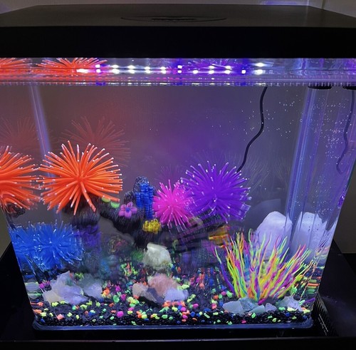 Topfin Infinity Edge Waterfall 10 Gallon Fish Tank | eBay