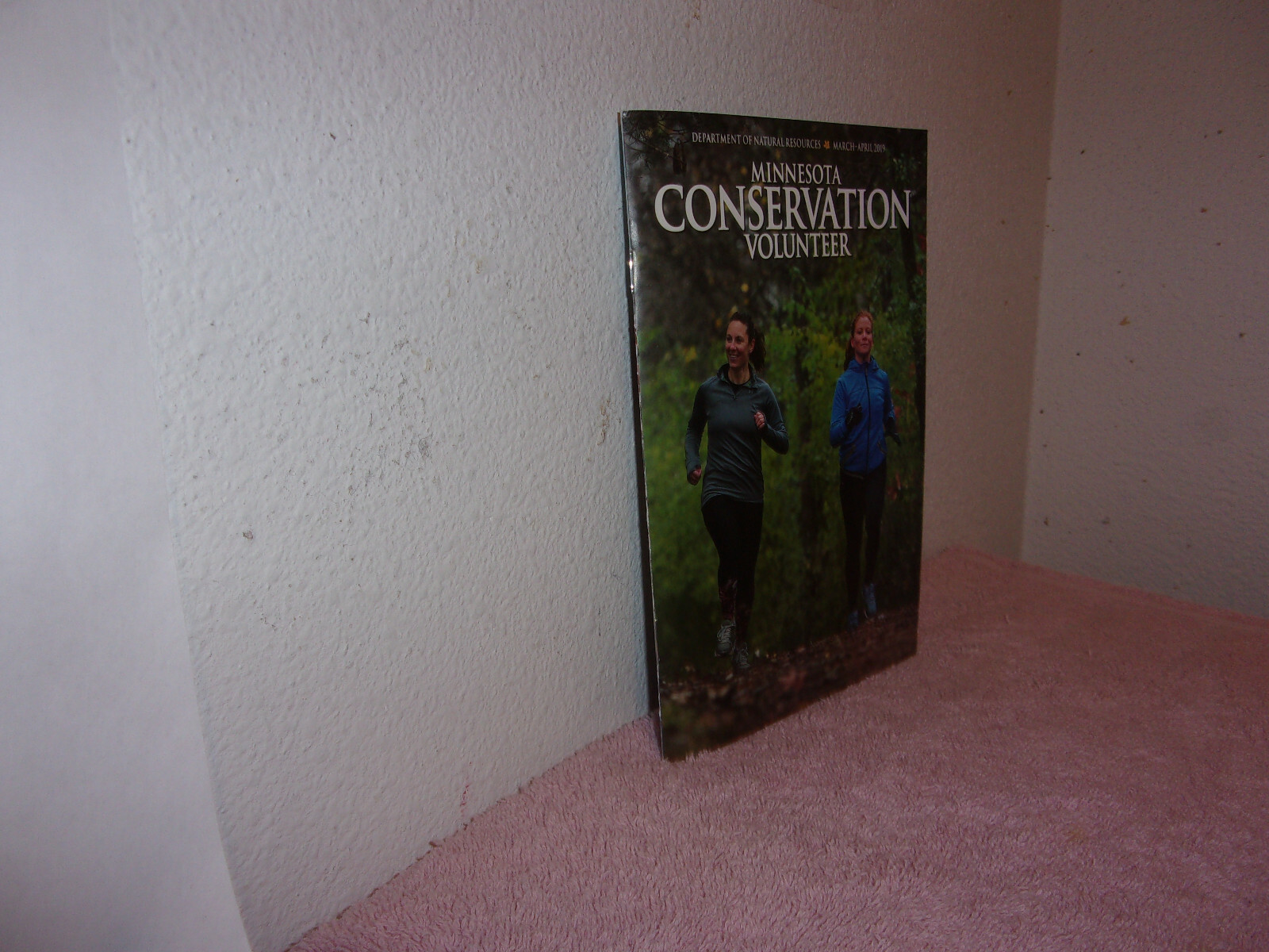 MINNESOTA CONSERVATION VOLUNTEER MAGAZINE."SHORE BIRDS " MARCH / APRIL ...