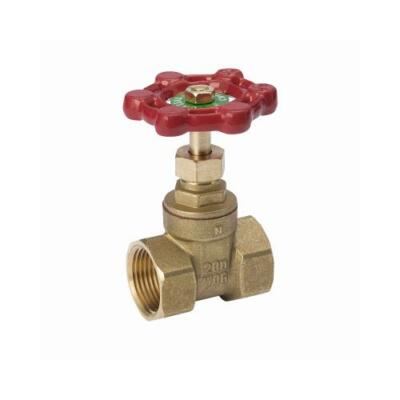 Valves - 2 Inch Gate Valve