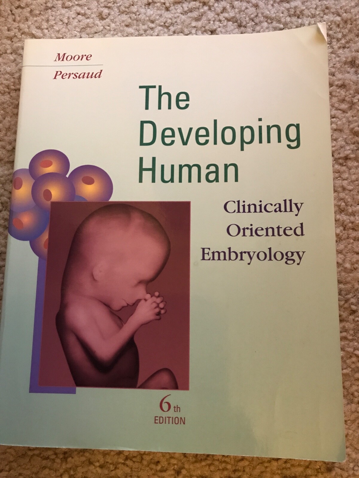 Developing Human : Clinically Oriented Embryology by T. V. Persaud and ...