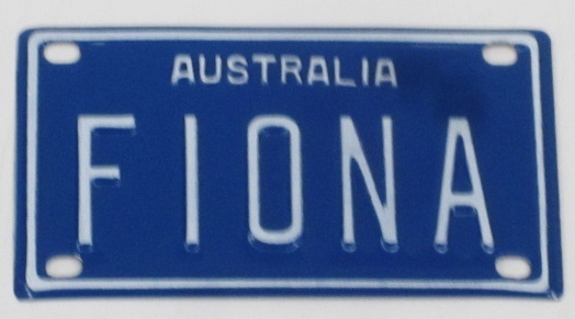 FIONA NOVELTY NAME MINI TIN AUSTRALIAN LICENSE NUMBER PLATE | eBay