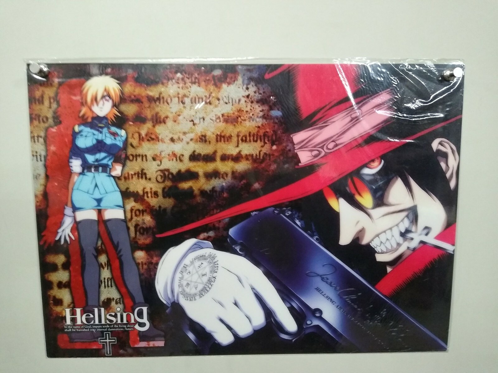 HELLSING Plastic Transparent Poster #2 Anime Licensed MINT | eBay