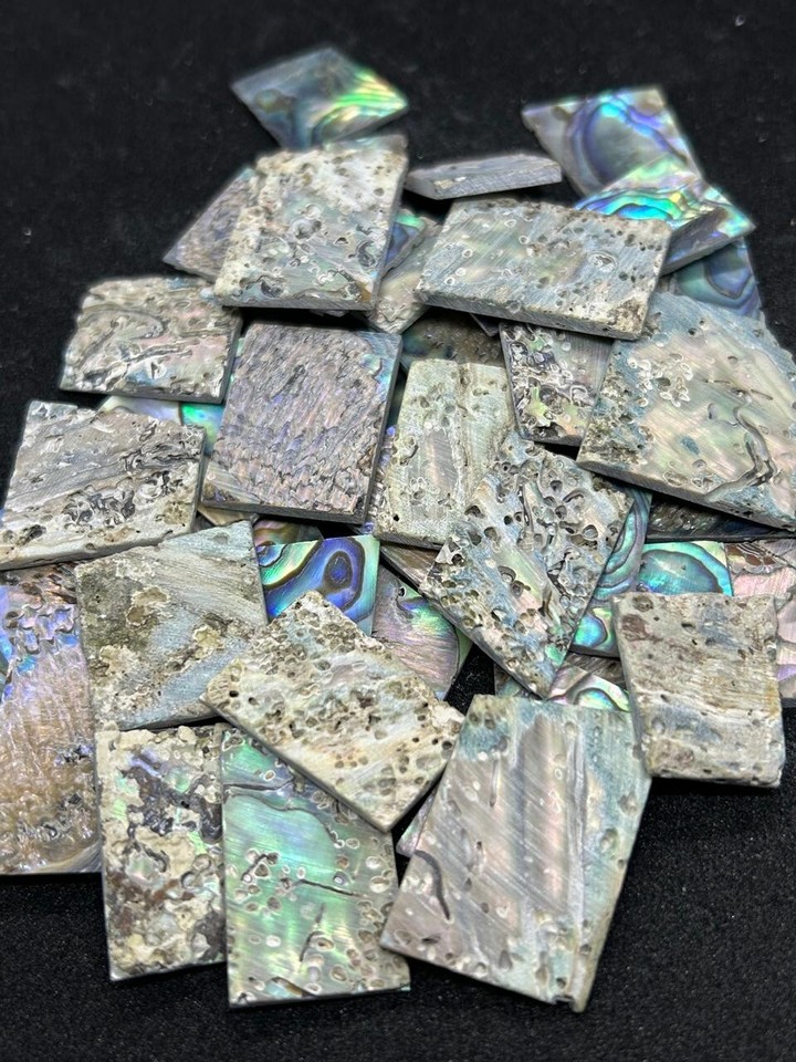 Green Paua Abalone Shell Blanks (1.55mm) for Guitar Inlay - Various ...