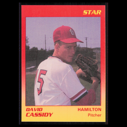 David Cassidy #9 1989 Star Minor League Hamilton Redbirds Baseball Card ...
