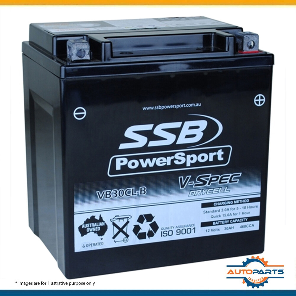 AGM Battery for HARLEY DAVIDSON 1801 FLHRSE/FLTRUSE CVO ROAD KING/GLIDE ...