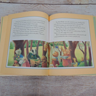 Friendship Saves the Day by Karen Ravn 1998 Hallmark Children's Story ...