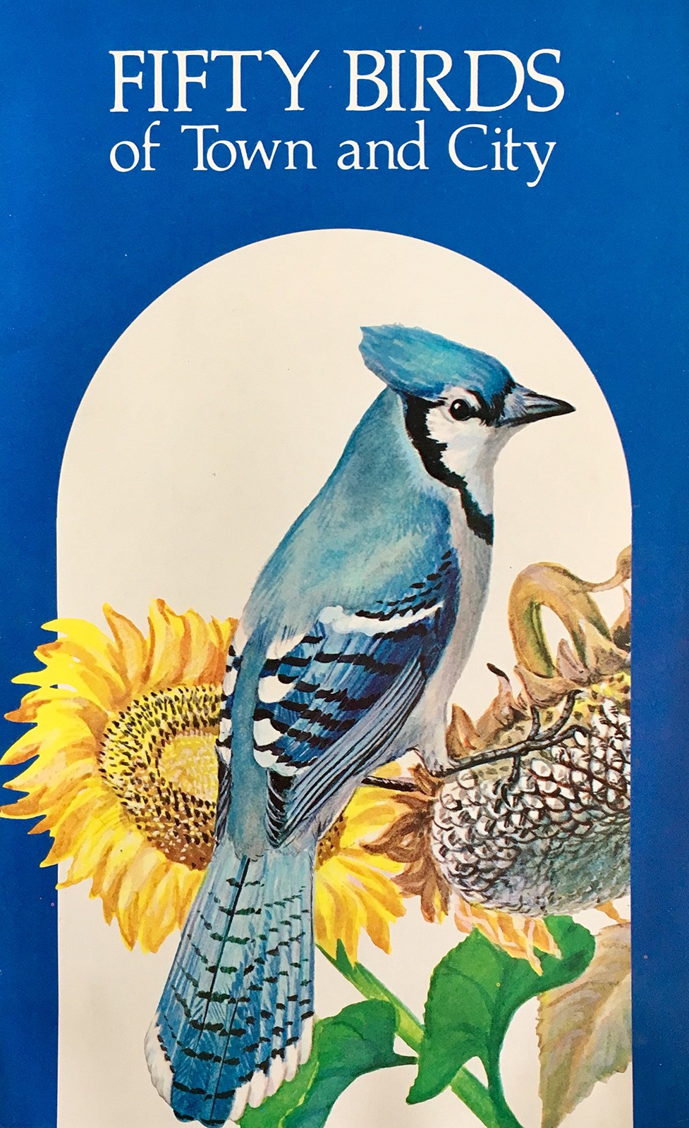 Fifty birds of town and city | eBay